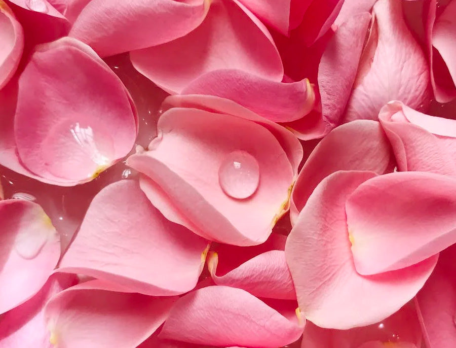 How To Use Rose Petals For Skin Benefits? – Sadhev